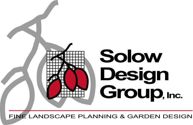 About Solow Design Group